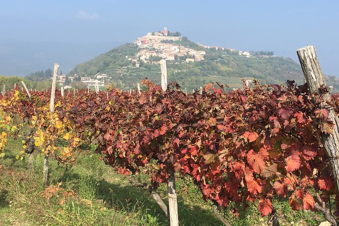 A Sample Of Wine, A Sample Of Istria - A Short But Fulfilled Program - Practical Details and Tips for Travelers