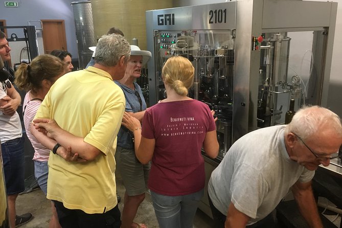 A Sample Of Wine, A Sample Of Istria - A Short But Fulfilled Program - Who Will Love This Tour?