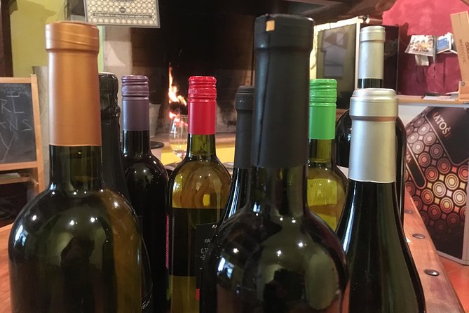 A Sample Of Wine, A Sample Of Istria - A Short But Fulfilled Program - Final Thoughts