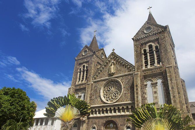 A Scenic, Historical and Guided Rainforest Tour - The Sum Up