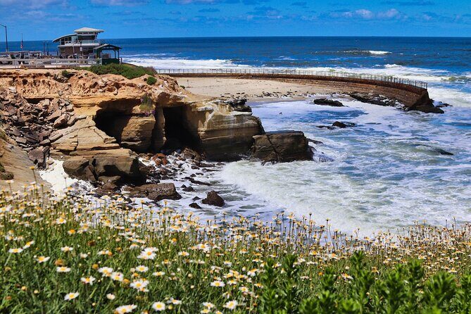 A Seaside Stroll: La Jolla's Hidden Treasures Self-Guided Tour - Who Is This Tour Best For?