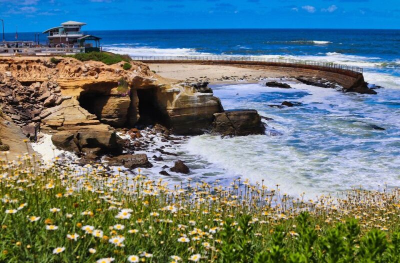 A Seaside Stroll: La Jolla's Hidden Treasures Walking Tour - FAQ