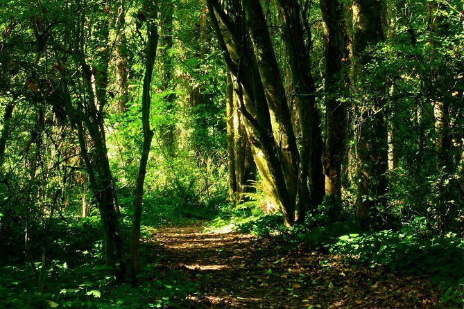 A Secret Romantic Adventure In Krabi  Kayaking, Beach picnic & Forest Hike - FAQ