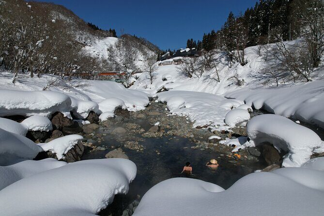 A Secret Wild Outdoor Bath Rotenburo experience from NAGANO - Why This Tour Works Well