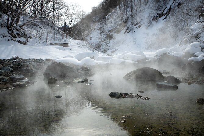 A Secret Wild Outdoor Bath Rotenburo experience from NAGANO - The Sum Up: Who Should Consider This Tour?