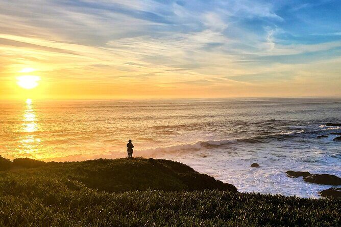 A Self-Guided Audio Tour Around Bodega Head - An Overview of the Experience