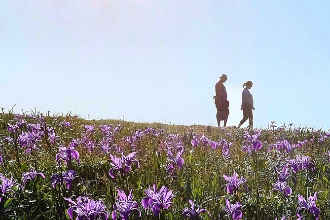 A Self-Guided Audio Tour Around Bodega Head - Authentic Perspectives