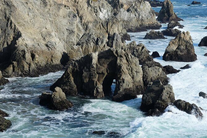 A Self-Guided Audio Tour Around Bodega Head - Practical Tips for Travelers