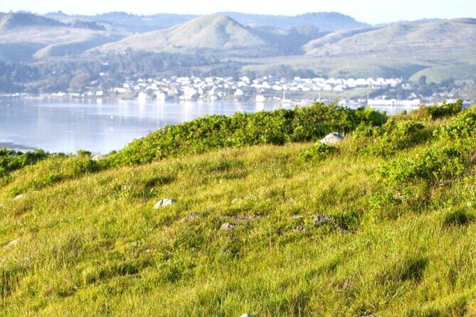 A Self-Guided Audio Tour Around Bodega Head - Final Thoughts: Who Will Love This Tour?