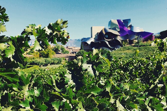 A Sip-By-Sip Tour of 3 Boutique Rioja Family Wineries (Private Tour With Lunch) - Logistics and What to Expect