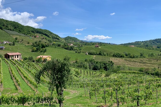 A Sparkling Day in the Prosecco Hills from Venice by Yellowboot - Scenic Drive and Small Group Dynamics