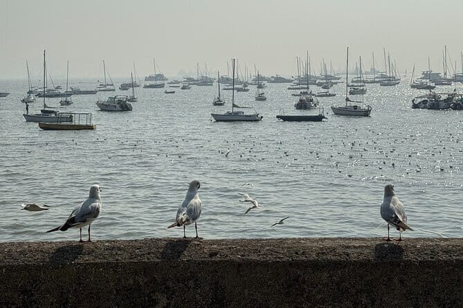 A Symphony of Seven Islands - Discover Mumbai's story in One Day - A Symphony of Seven Islands - Discover Mumbais story in One Day