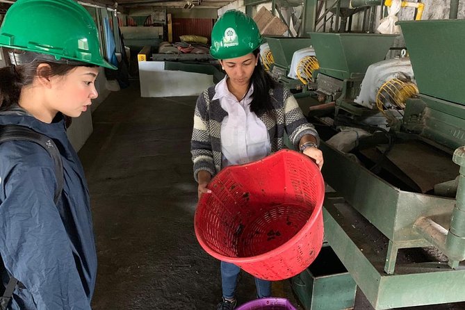 A Taste of Aquiares - 2 Hours Coffee Tour - Cultural Insights