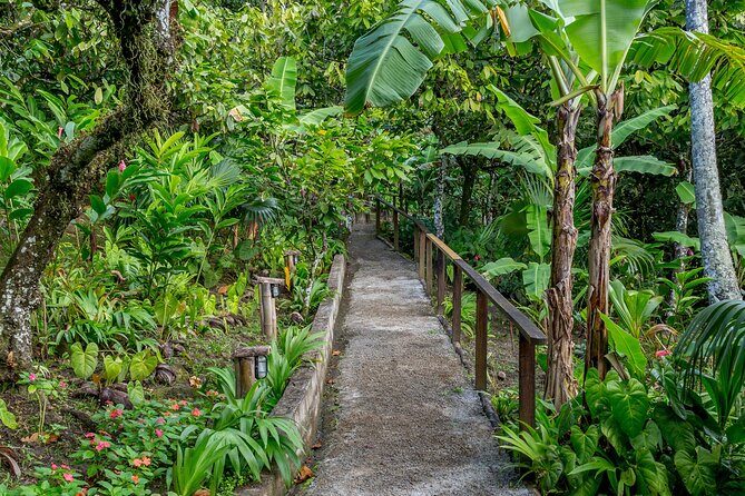 A Taste of Fond Doux Private Walking Tour - An In-Depth Look at the Tour Experience