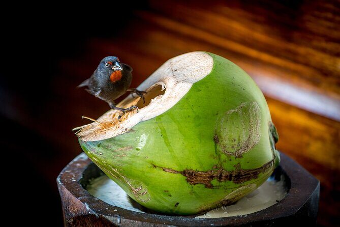 A Taste of Fond Doux Private Walking Tour - Final Thoughts