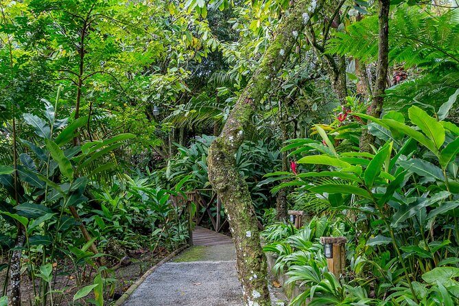 A Taste of Fond Doux Private Walking Tour - FAQs