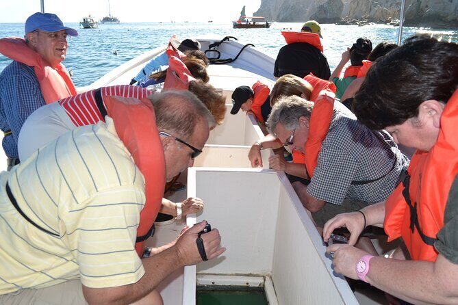 A taste of Los Cabos. A San Jose and Cabo San Lucas City Tour - Real Traveler Insights
