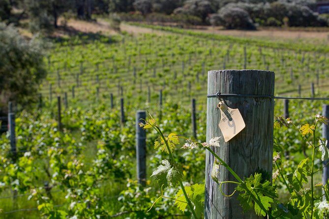 A Taste of Margaret River Seaplane Tour - Who Should Consider This Tour?