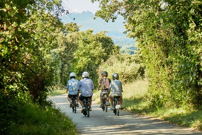 A Tour in Provence in a Typical French Motorized Bike : the Solex - Wine Tasting and Purchasing Opportunities