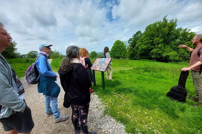 A Tour of Glastonbury, Guided by the Trees. - Taking in Nature Through Tree Talks and Poetry