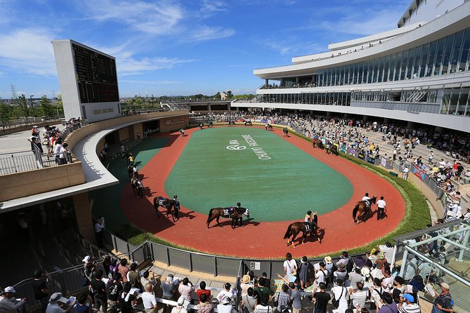 A Tour to Enjoy Japanese Official Gambling (Horse Racing, Bicycle Racing, Pachinko) - Accessibility and Suitability for Travelers