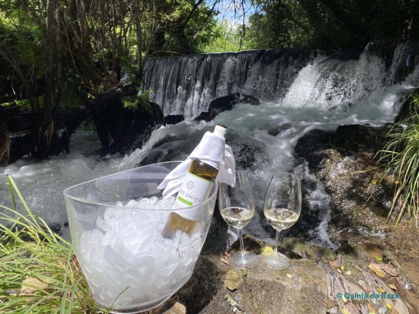 A trip through the Vinhos Verdes of the Basto Region - The Value Proposition