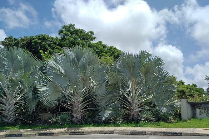 A two hour historic walking tour of Speightstown - FAQ