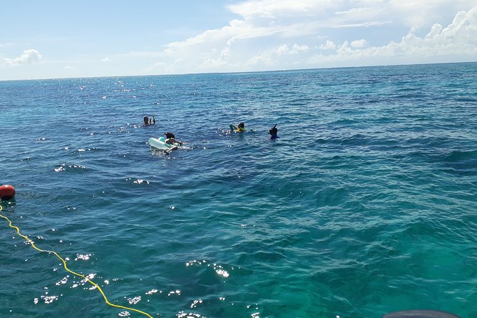 A Unique Private Snorkel Tour of Key Largo - Personalized Snorkeling Adventure for Your Group