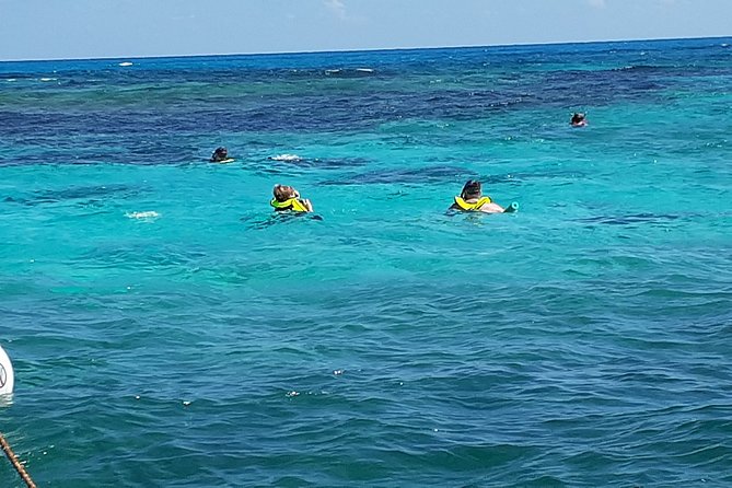 A Unique Private Snorkel Tour of Key Largo - Meeting Logistics and Important Information