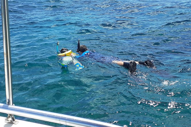 A Unique Private Snorkel Tour of Key Largo - Frequently Asked Questions