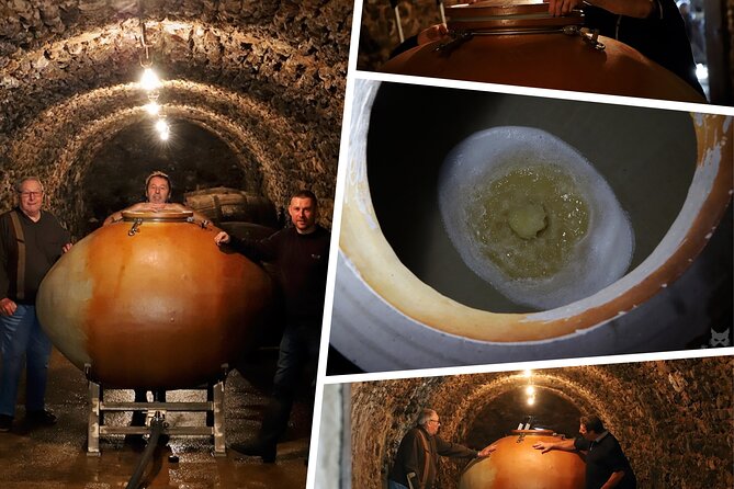 A unique sensory experience in the vineyards - FAQs