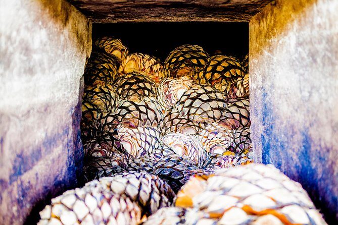 A unique tour! Visiting Hacienda Casa herradura From Guadalajara - The Itinerary in Detail