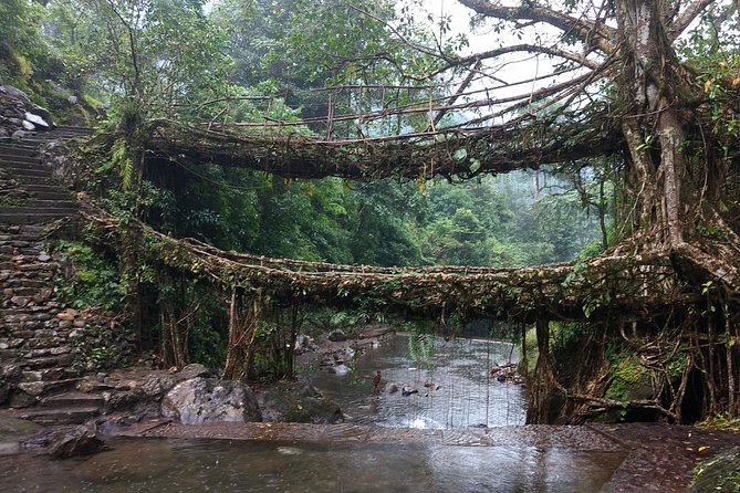 A Walk in the Clouds - Walking Holiday in Khasi Hills, Meghalaya, India - Practical Insights into the Tour