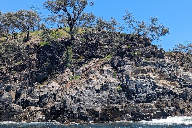 AAA Noosa National Park tour and Dolphin Safari Whalesongsnoosa - An Honest Look at the Noosa National Park and Dolphin Safari Tour
