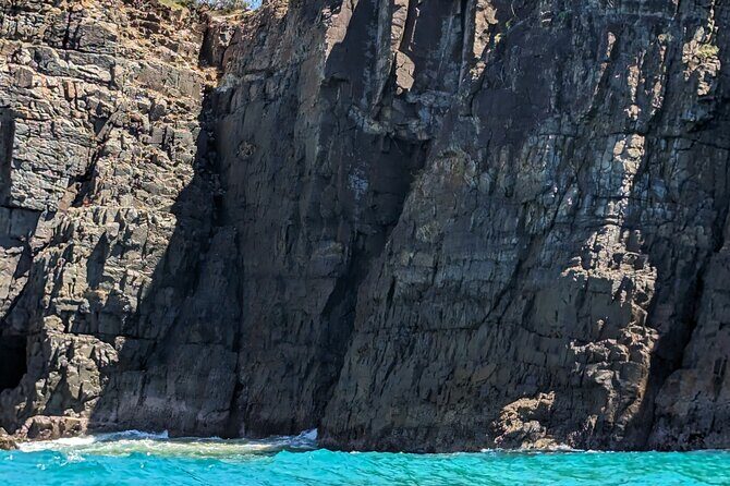 AAA Noosa National Park Tour and Dolphin Safari Whalesongsnoosa - Key Points