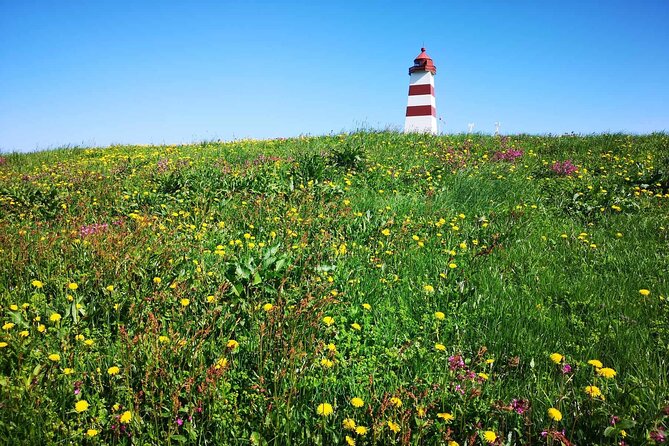 Aalesund Highlights +Alnes the Most Beautiful Island 3H Excursion - Stunning Scenery