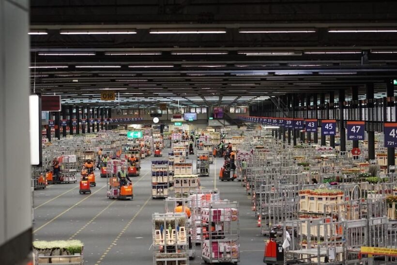 Aalsmeer: Flower Auction Royal Flora Holland Entry Ticket - The Sum Up