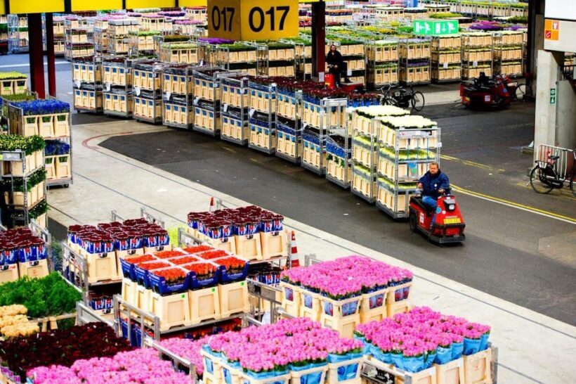 Aalsmeer: Flower Auction Royal Flora Holland Entry Ticket - FAQ