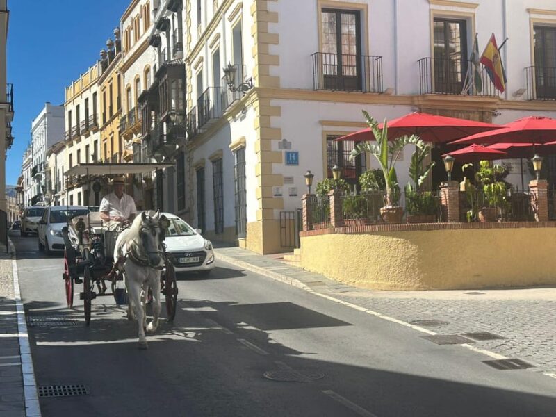 ab Marbella: Private VIP-Tour Ronda incl. Transfer + Tapas - What to Expect From the Highlights