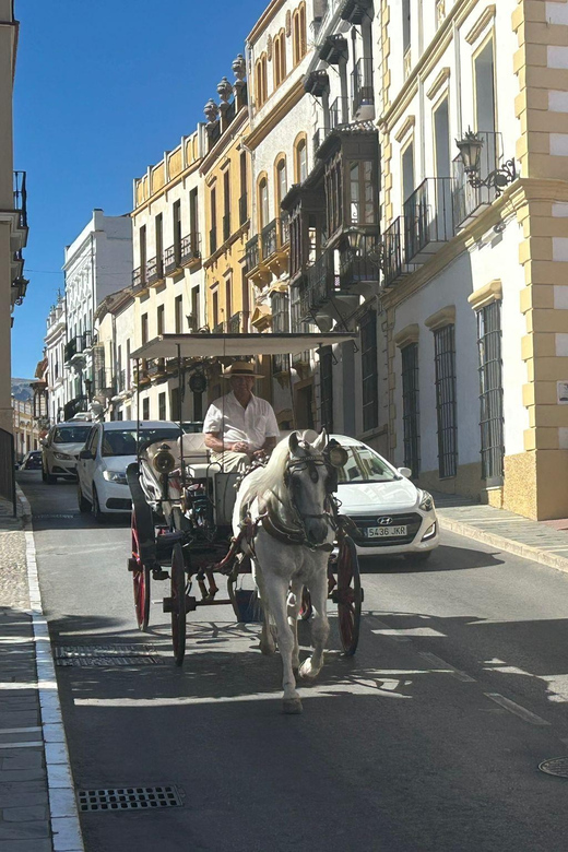ab Marbella: Private VIP-Tour Ronda incl. Transfer + Tapas - The Dining and Tapas Experience