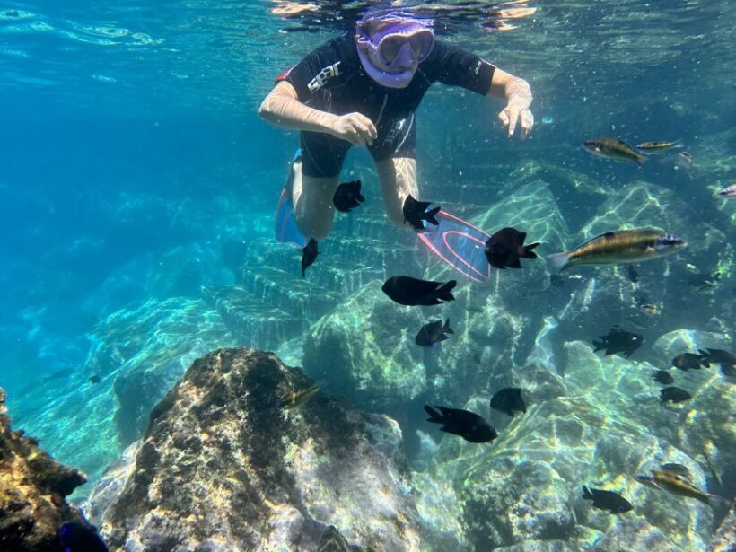 Abades: Guided Snorkeling Tour with Photos - The Group Size and Personal Attention