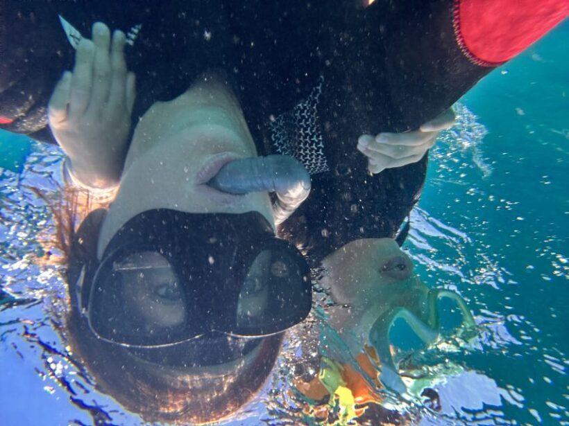 Abades: Guided Snorkeling Tour with Photos - Who Should Consider This Tour