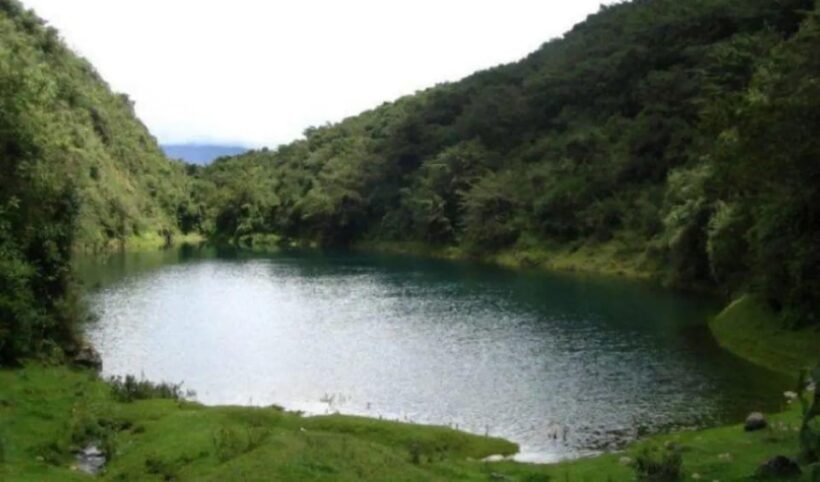 Abancay: Guided Trip to Ampay National Sanctuary and Lagoons - Key Points