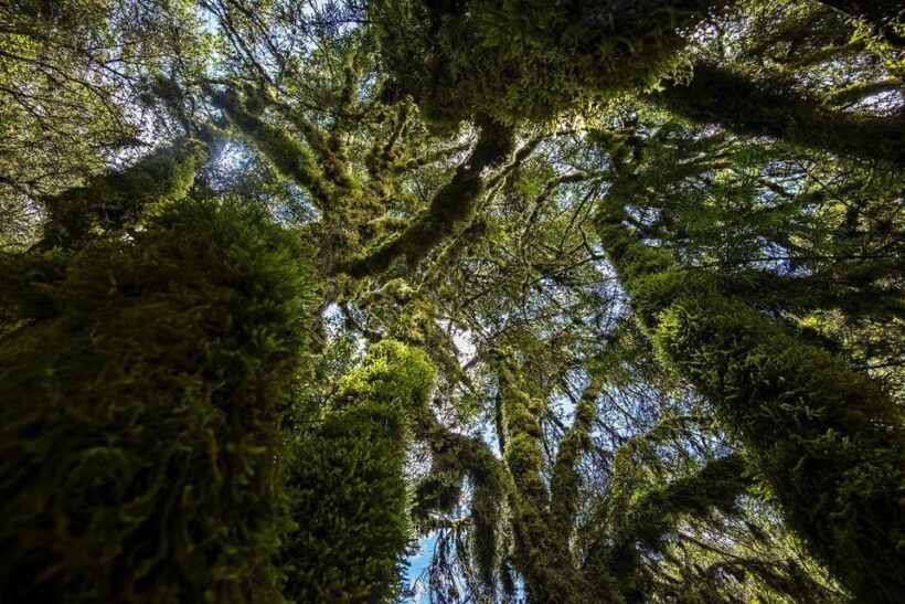 Abancay: Guided Trip to Ampay National Sanctuary and Lagoons - The Sum Up