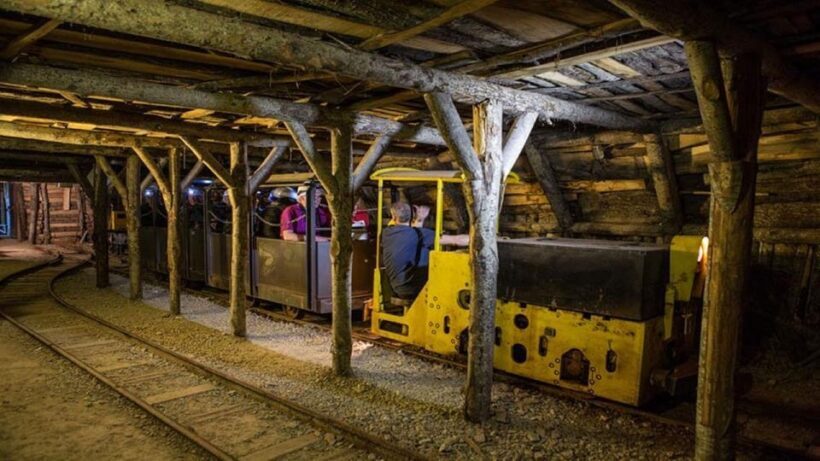 Abbadia San Salvatore Mining Museum Park: Admission and guided tour - The Experience: What to Expect at the Mining Museum Park