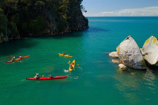 Abel Tasman Adventure Private Tour from Nelson Cruise Port - An In-Depth Look at the Abel Tasman Private Tour