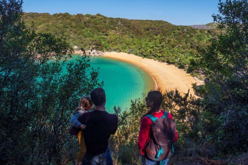 Abel Tasman National Park: Cruise and Hike Full-Day Tour - Key Points