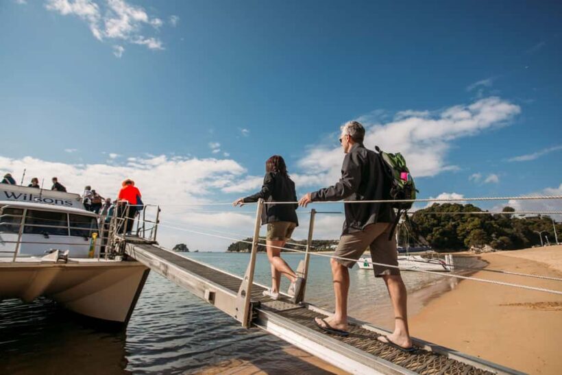 Abel Tasman National Park: Cruise and Hike Full-Day Tour - An In-Depth Look at the Tour Experience