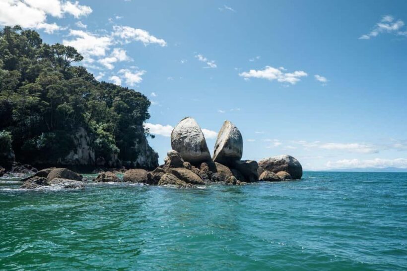 Abel Tasman National Park: Cruise and Hike Full-Day Tour - Why This Tour Offers Great Value
