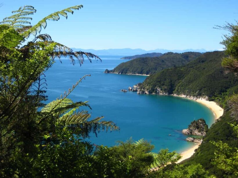 Abel Tasman National Park: Cruise and Hike Full-Day Tour - Who Will Love This Tour?